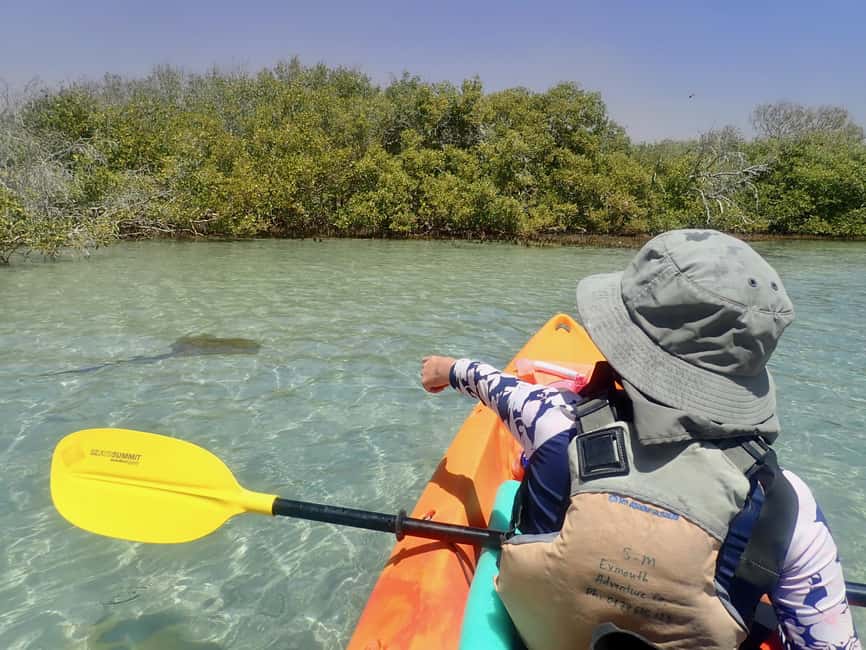 Exmouth: Half Day Turtle Kayak & Snorkel Tour | GetYourGuide
