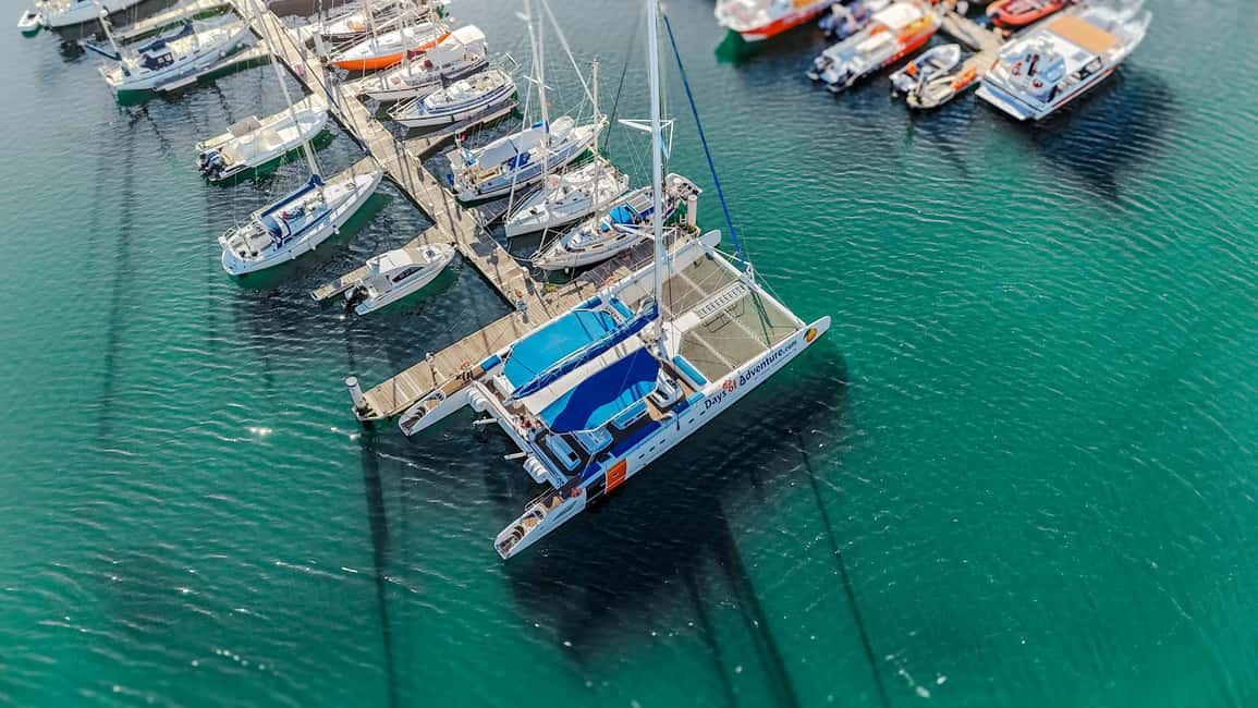 FUN & CHILL – ゴールデン・コースト・セーリング・ツアー | GetYourGuide