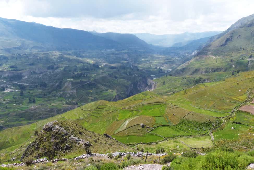 From Arequipa Chivay & Colca Canyon Full day tour +breakfast | GetYourGuide