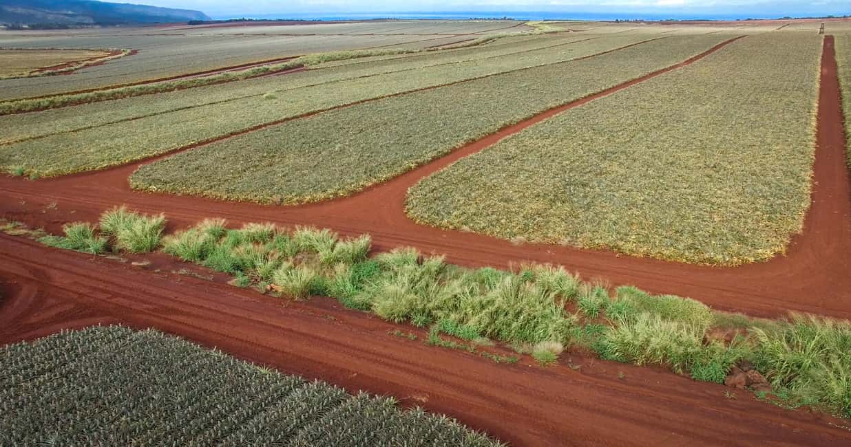 Oahu: Circle Island Tour with Lunch & Waimea Waterfall | GetYourGuide