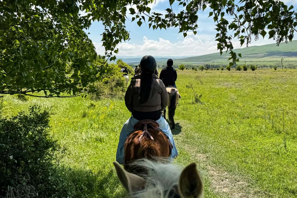 Tour a cavallo di 2 ore al Palomino Ranch vicino a Tbilisi | GetYourGuide