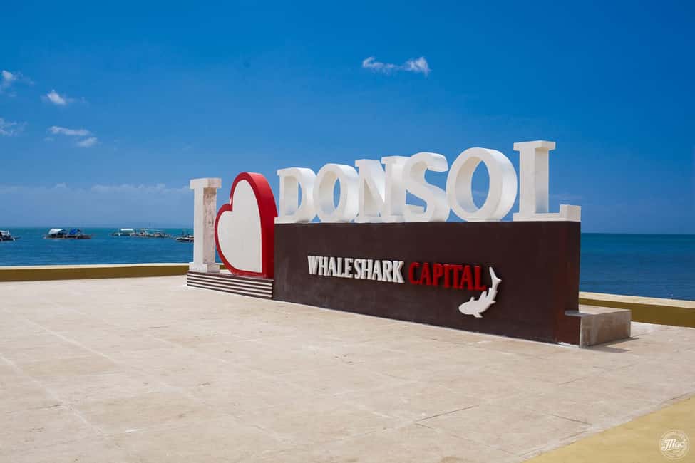 Whale Shark Interaction at Donsol Sorsogon by ZCHEDULISTA | GetYourGuide