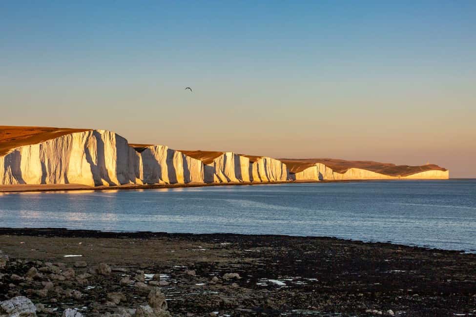 London: Brighton & Seven Sisters Cliffs Private Day Tour | GetYourGuide