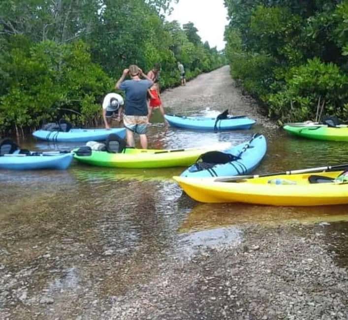 ZANZÍBAR: Excursión en kayak por los manglares con almuerzo | GetYourGuide
