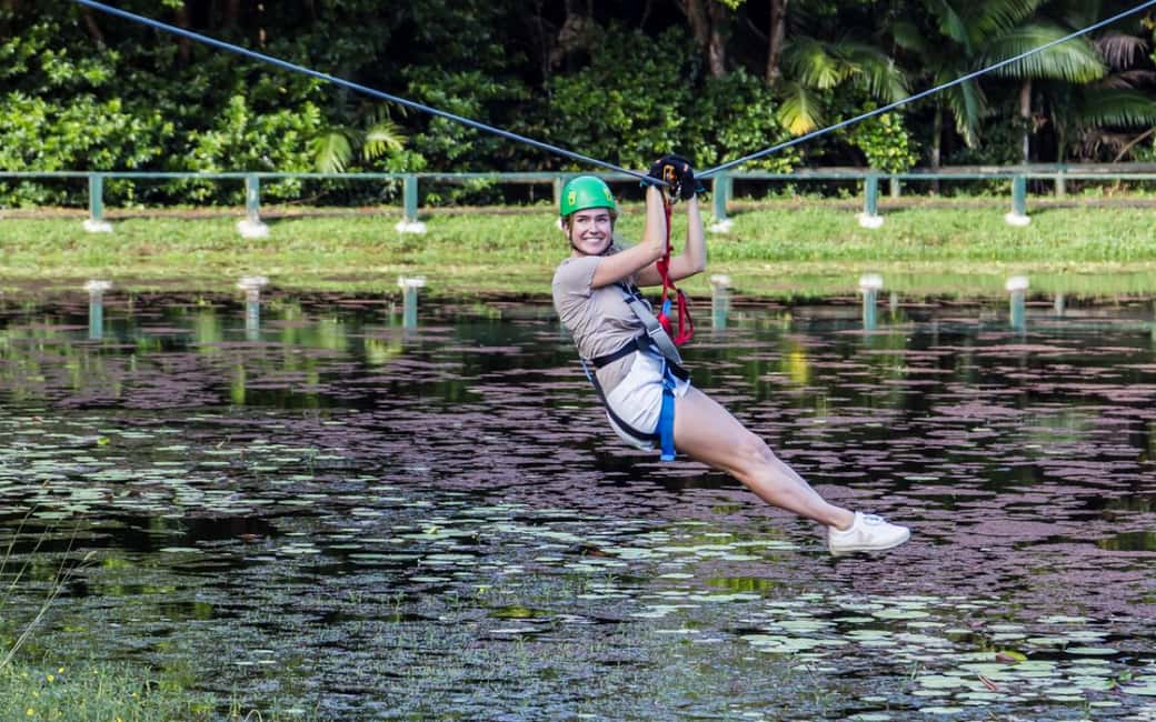 Sunshine Coast: Treetop Challenge Adventure Park | GetYourGuide