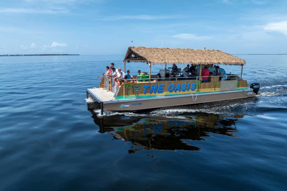 Charlotte Harbor: Dolphin Discovery Day Cruise | GetYourGuide