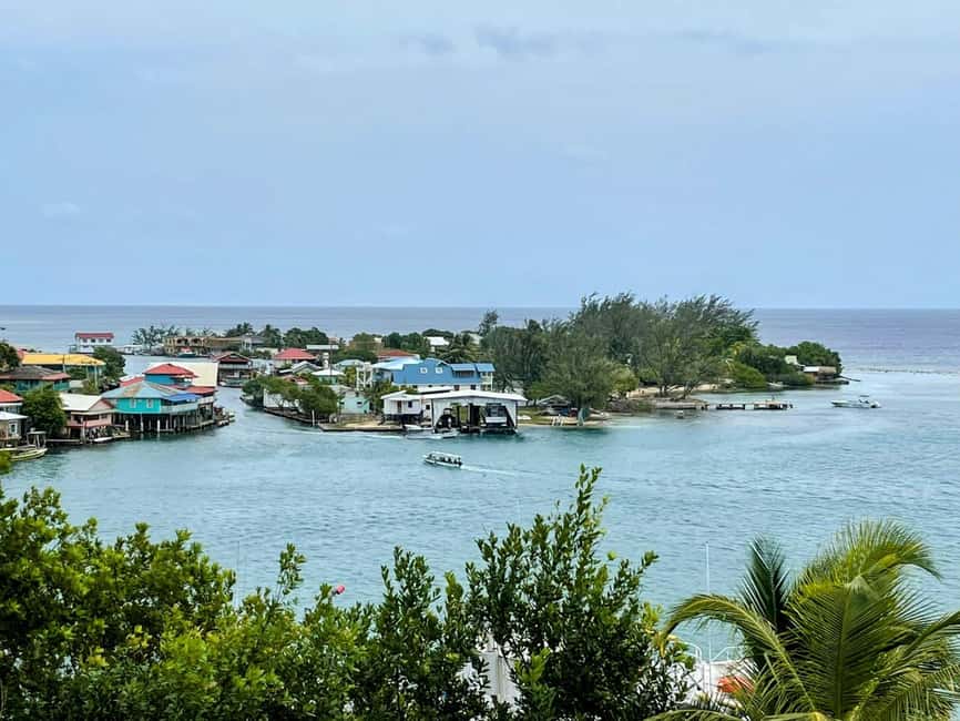 Roatan: East Island Tour with Mangrove | GetYourGuide