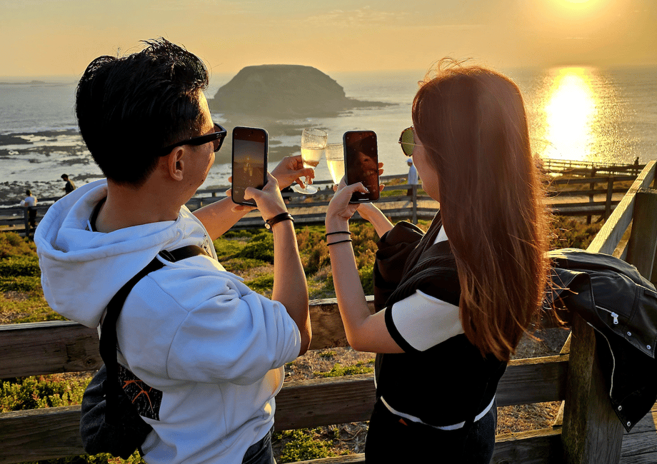 Melbourne: Phillip Island Tour w/ Hop-on Bus or Seal Cruise | GetYourGuide