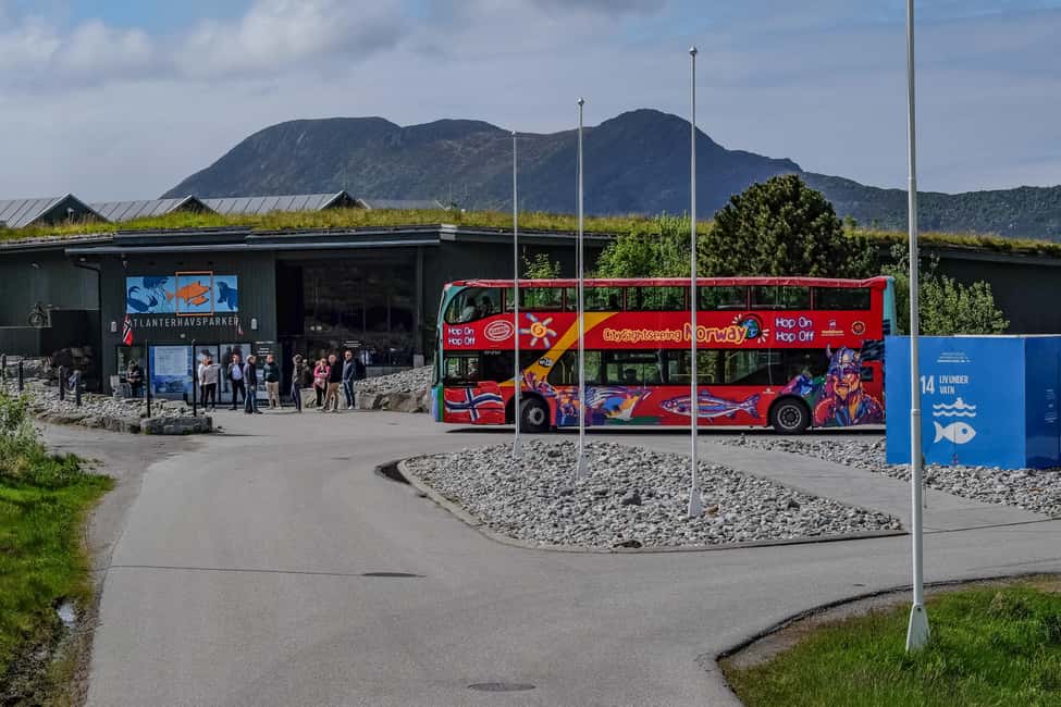 Alesund: City Sightseeing Hop-On Hop-Off Bus Tour | GetYourGuide