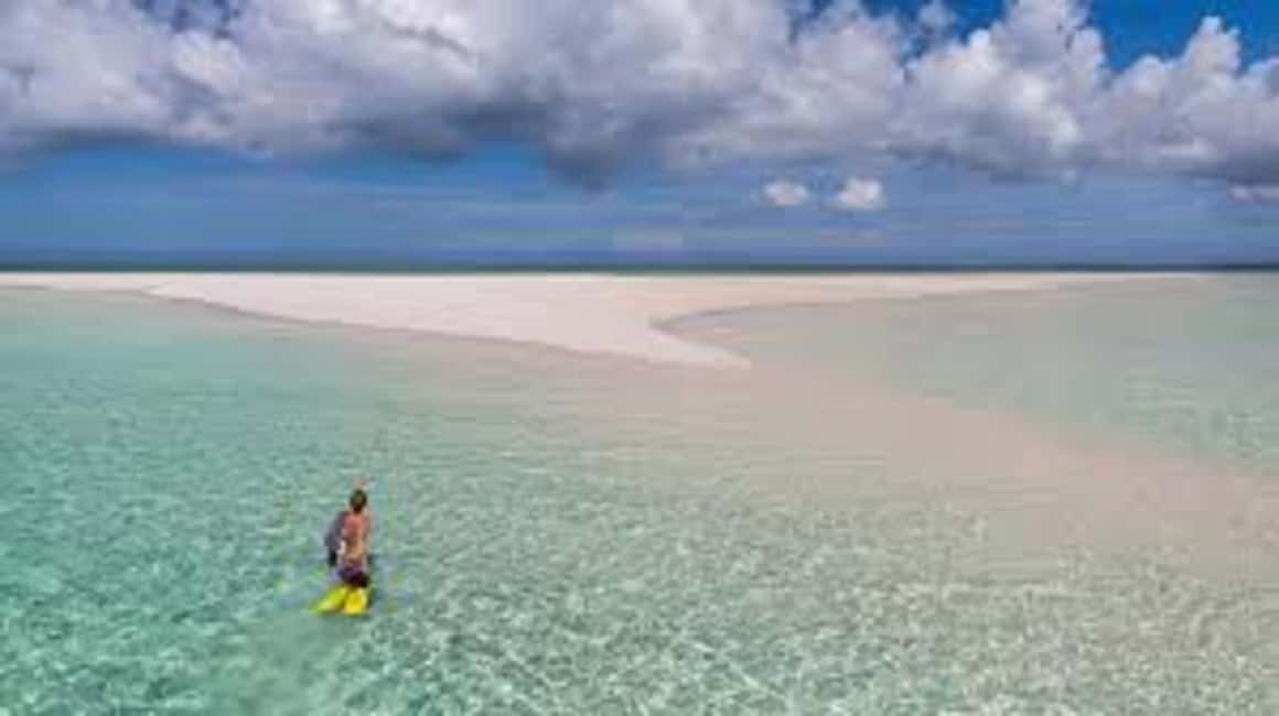 ZANZIBAR: Isla de Pungume, picnic en SandBank con barbacoa | GetYourGuide