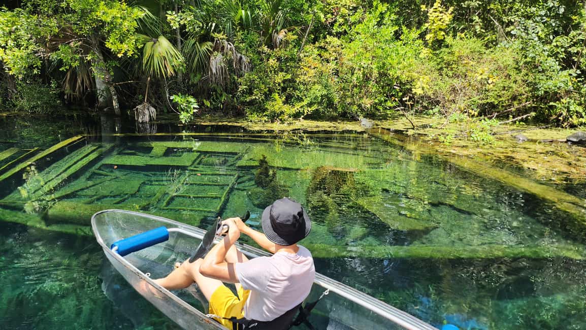 Silver Springs: Manatees and Monkeys Clear Kayak Guided Tour | GetYourGuide