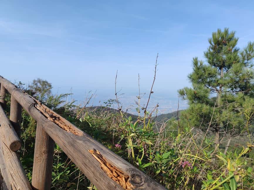 From Naples: Explore Herculaneum Ruins and Vesuvius | GetYourGuide