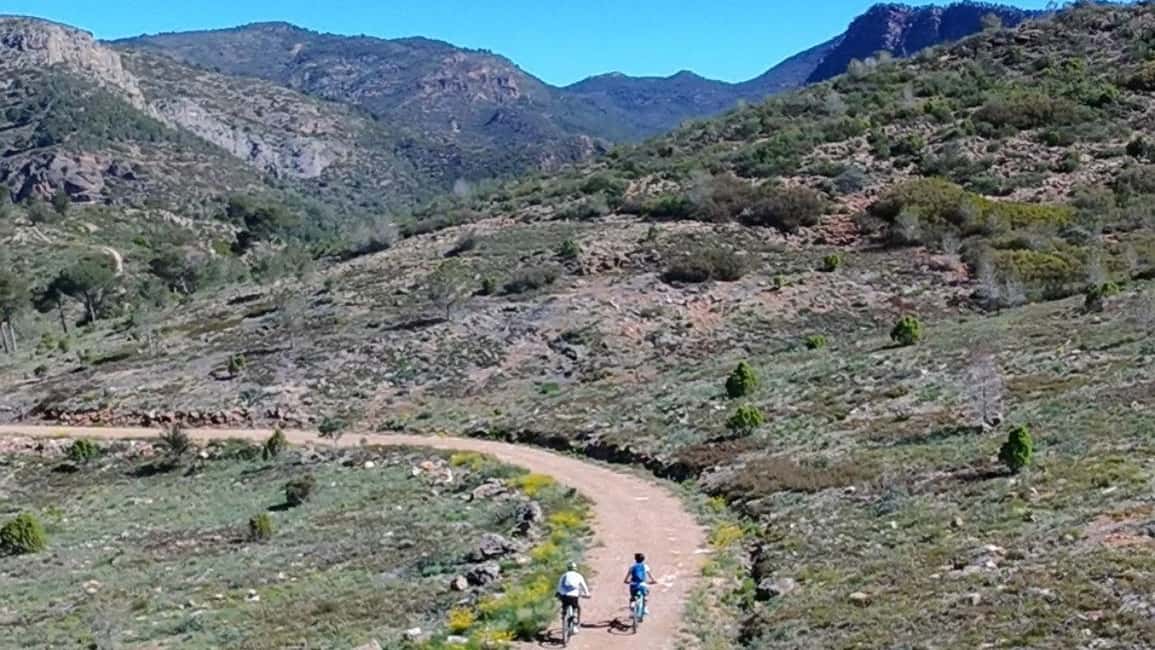 Escursione in e-bike a Valencia + trasferimenti + video con drone | GetYourGuide