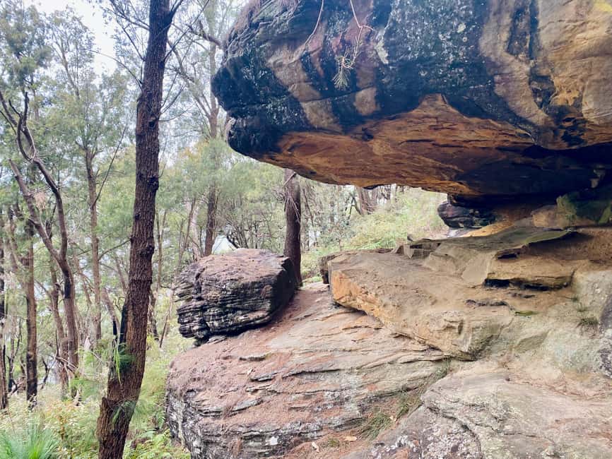 Ku-ring-gai & Mooney Mooney: Hike, Swim & Picnic | GetYourGuide