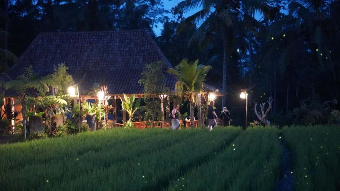 From Ubud: Evening Firefly Tour in Taro Village | GetYourGuide