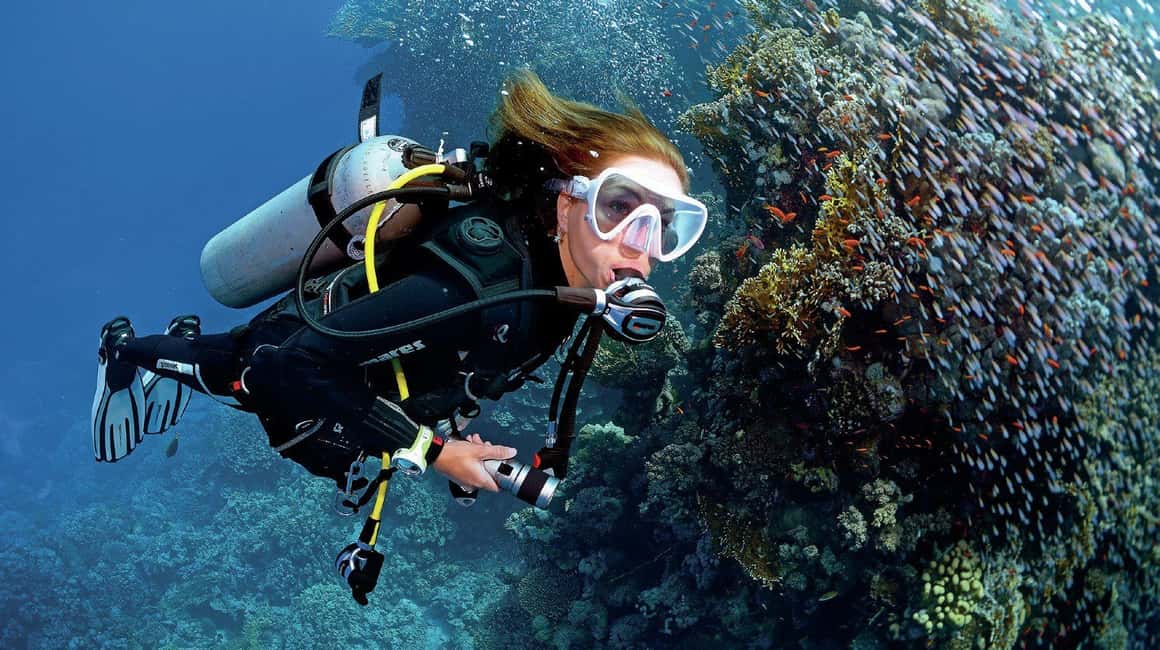 From Sharm: Ras Muhammed & White Island By Boat & intro Dive | GetYourGuide