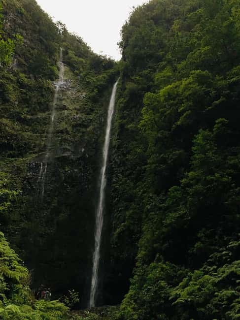 Madeira: PR 9 - Levada do Caldeirão Verde Hike Transfer | GetYourGuide