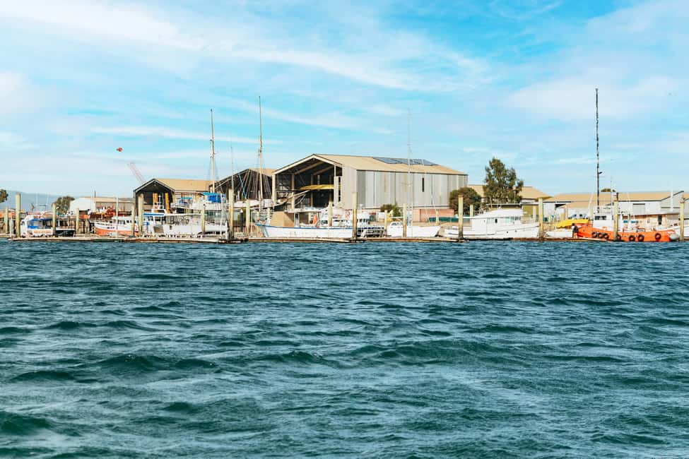 Port Adelaide: Dolphin and Ships Graveyard Cruise | GetYourGuide