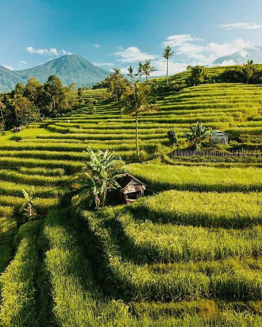 Bali: Explore North Bali Customized Day Tour | GetYourGuide