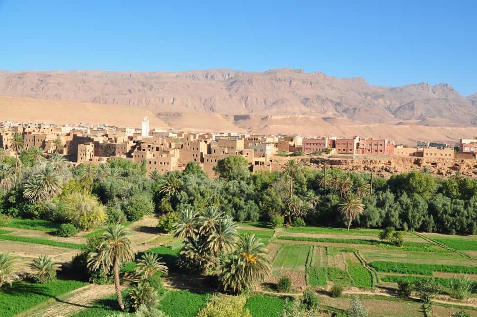 Au départ de Ouarzazate : excursion d'une journée à l'oasis de Skoura, à la kasbah et aux gorges ...