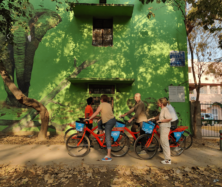 Fietstocht door Zuid-Delhi langs erfgoed, kunst en tuinen | GetYourGuide