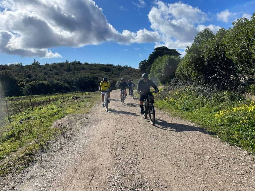 Cascais-Sintra E-bike Tour: Coast & Countryside Adventure | GetYourGuide