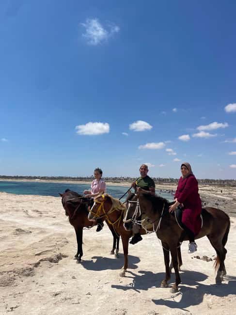 Djerba: Paseo a caballo de 1 h 30 min por las playas de la isla ...