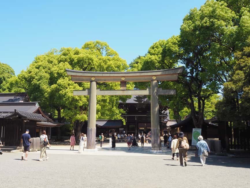 Tokyo: 1 Day Bus Tour with Meiji-Jingu,Odaiba,lunch&Skytree | GetYourGuide