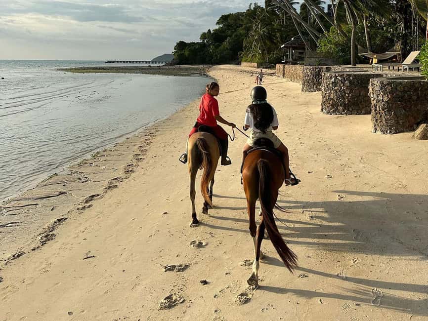 Koh Samui: Sunset Trail Horse Riding on The Beach | GetYourGuide