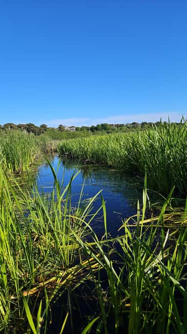 Nantucket: Historical Landmarks Sightseeing Bus Tour | GetYourGuide