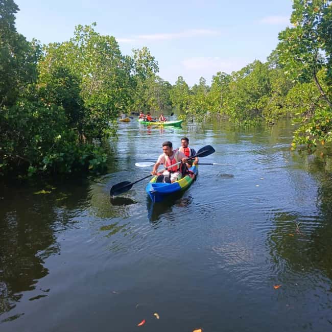 Pemba Island: Chake Chake Tour and Kayak Adventure | GetYourGuide
