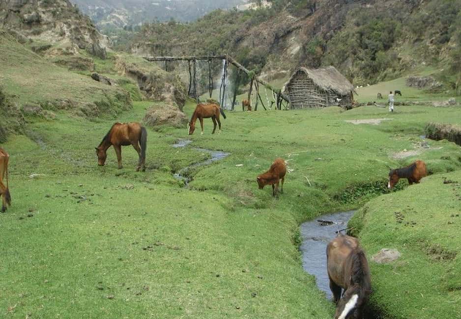 Addis Ababa: 2-Day Wenchi Crater Lake Tour with Boat Ride | GetYourGuide