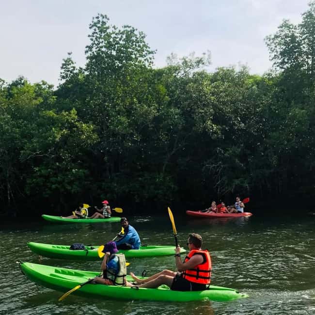Zanzibar: Uzi Island Mangrove forest Kayak Tour with Snacks | GetYourGuide