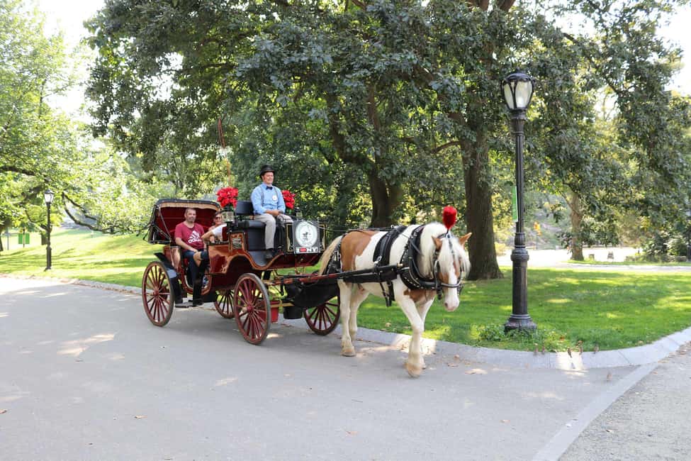 Νέα Υόρκη: Central Park Horse Carriage 25-min Ride | GetYourGuide