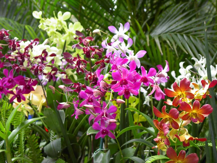 Oahu: Circle Island Tour with Lunch & Waimea Waterfall | GetYourGuide