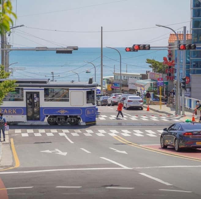 Busan: Private Chartered Car Tour | GetYourGuide