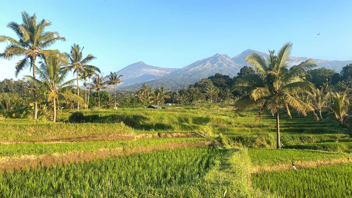 Lombok: Rice Field Terrace, Waterfalls, Culture & Tradition | GetYourGuide