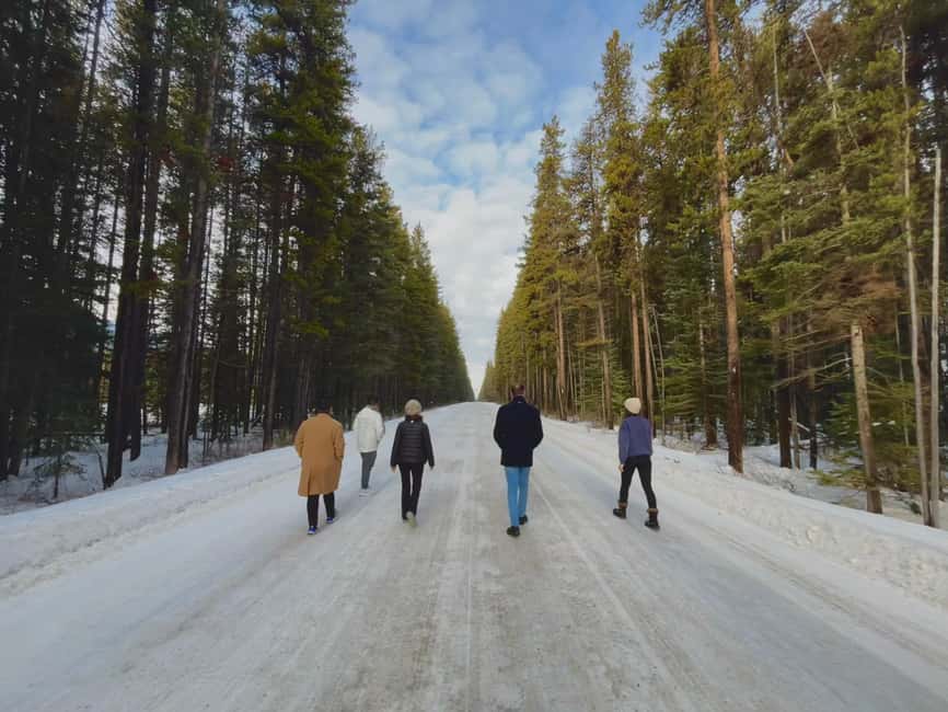 Calgary/Canmore: Banff National Park & Lake Louise Day Trip | GetYourGuide