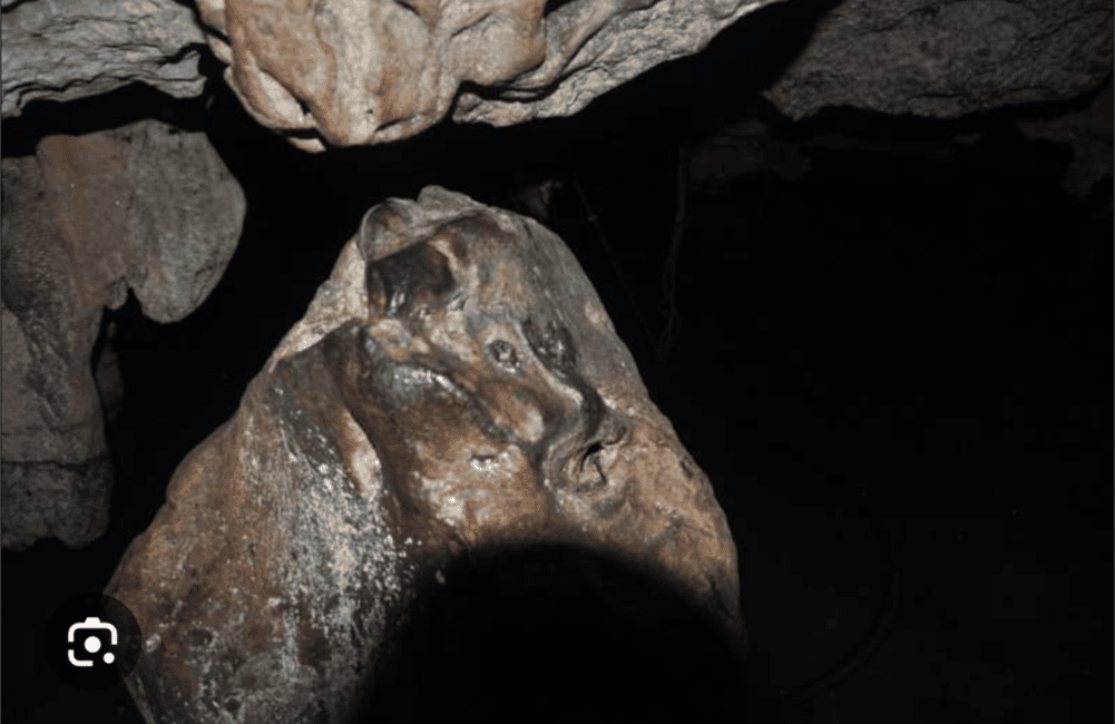 Zanzibar: Miza wa Miza Cave , Jozani forest &Salam Cave | GetYourGuide