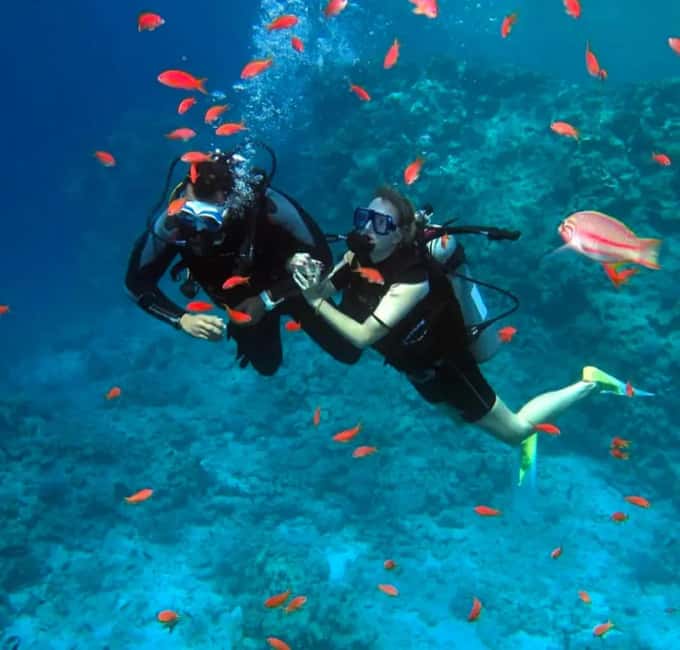 Sharm El Sheikh: Ras Mohamed & White Island Dive & Snorkel | GetYourGuide