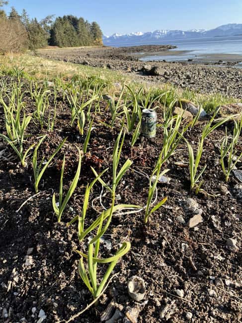 Hoonah: Icy Strait Village Tour and Crab Feast | GetYourGuide