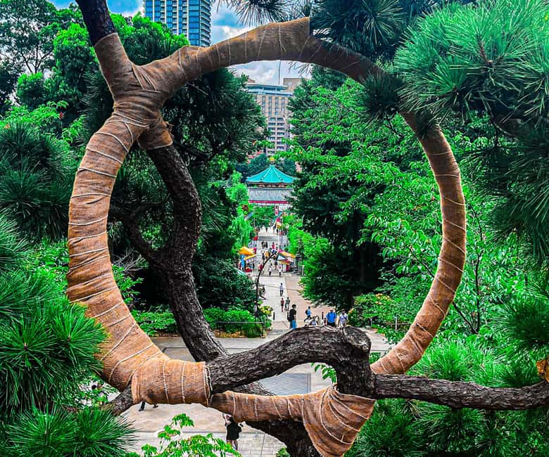 Tokio A: Tour de la ciudad en Español - Spanish | GetYourGuide