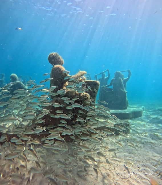 Sint Maarten: Underwater Sculpture Park Snorkel Adventure | GetYourGuide