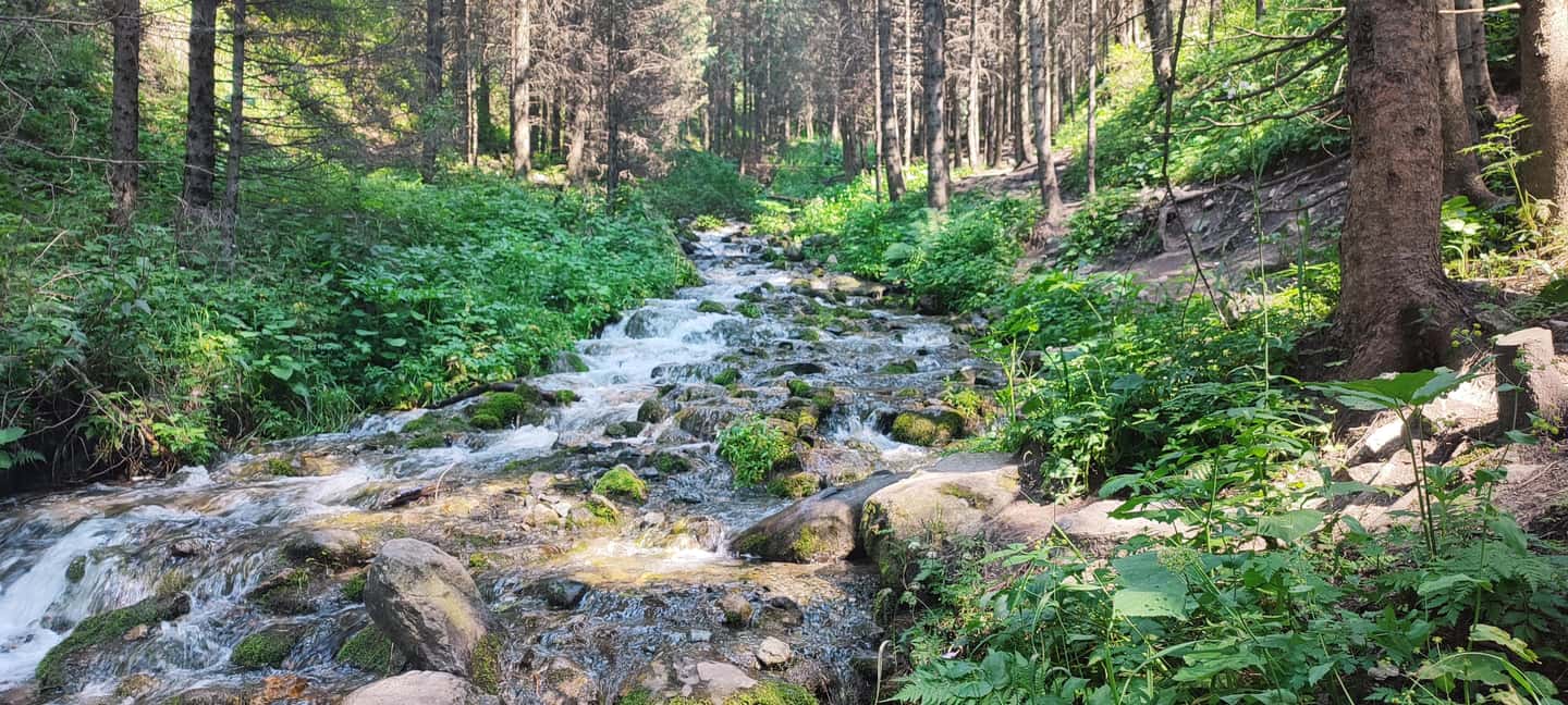 Almaty in a Day: Mountains and City Highlights | GetYourGuide