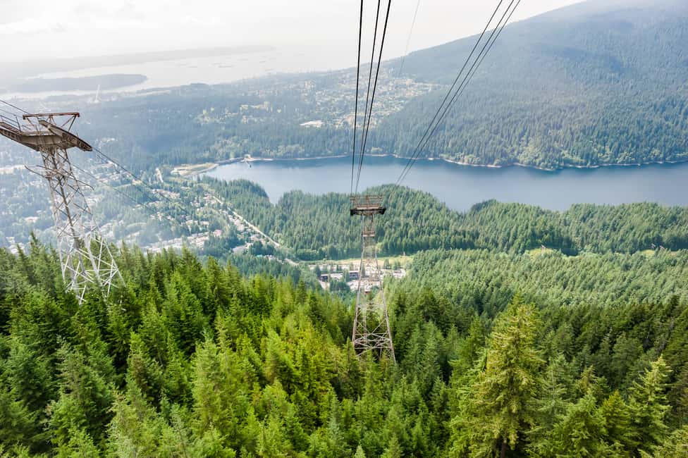 Grouse Mountain, Capilano Bridge & Fish Hatchery Tour | GetYourGuide