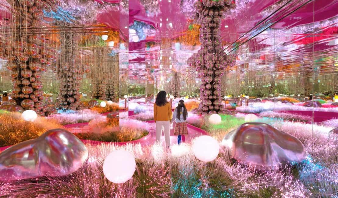 House of Hype Beautiful Immersive Wonderland - DUBAI MALL | GetYourGuide