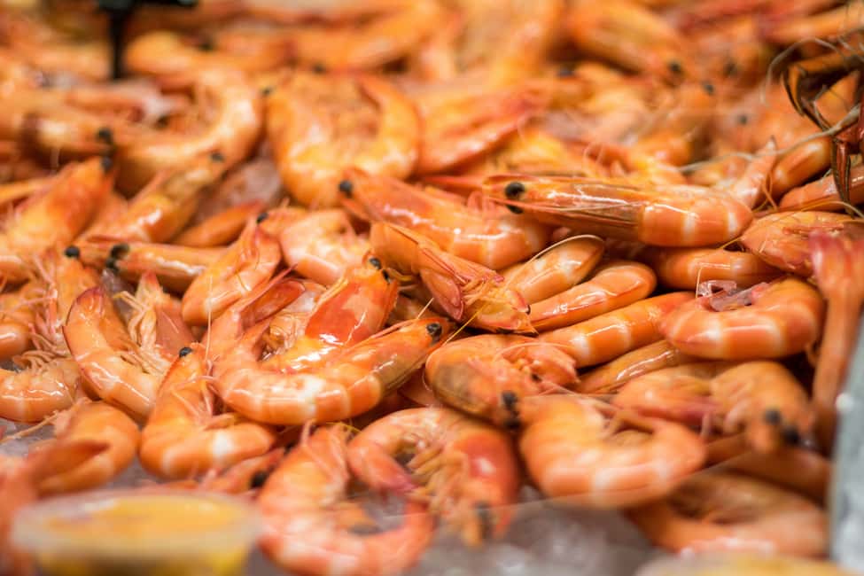 Mooloolaba: Seafood Lunch Cruise | GetYourGuide