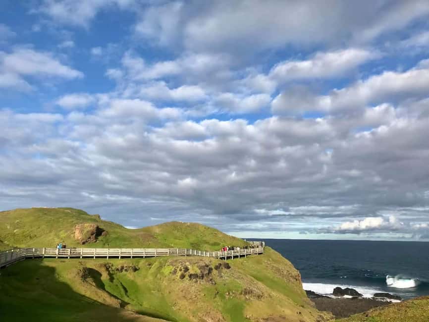 Melbourne: Penguin Parade & Phillip Island Scenic Day Tour | GetYourGuide