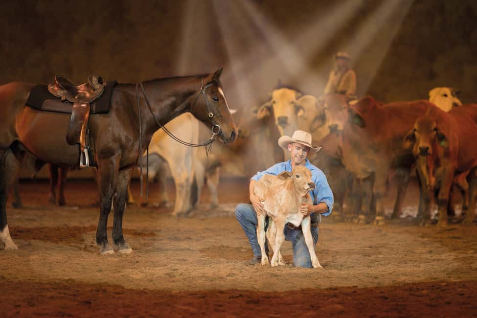 Gold Coast: Australian Outback Spectacular Dinner & Show | GetYourGuide