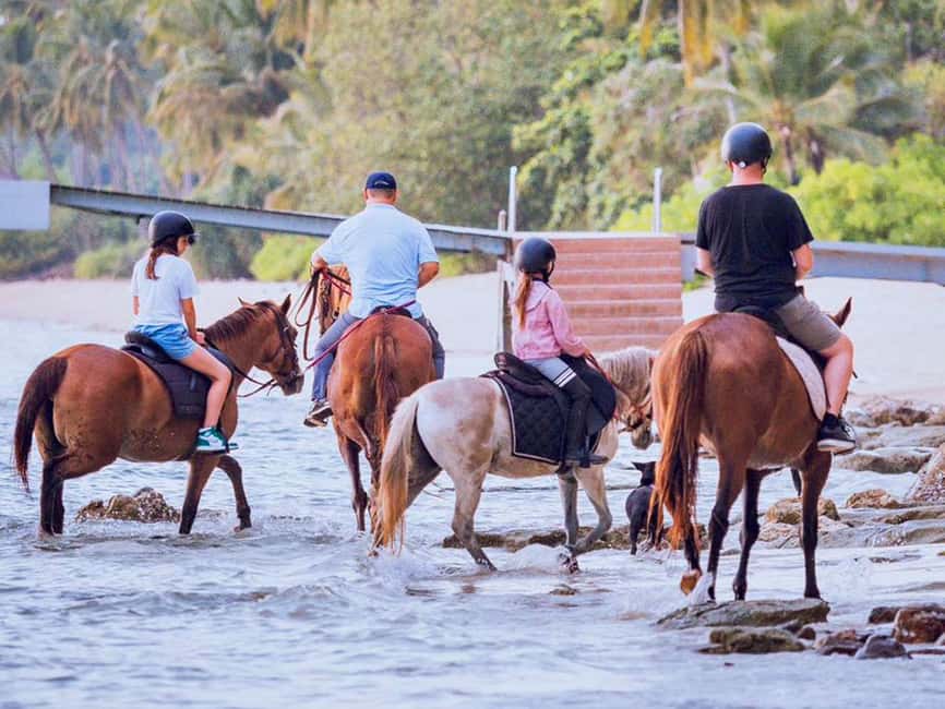 Koh Samui: Sunset Trail Horse Riding on The Beach | GetYourGuide
